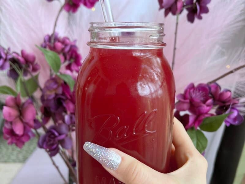 Everything Red Juice Recipe - Ashley Diana